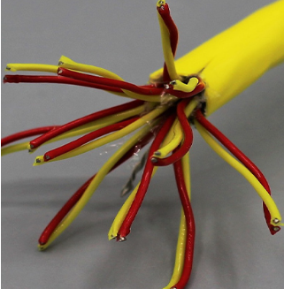 Nov 18 Consultancy Services